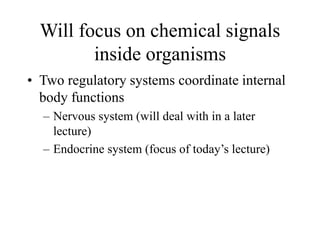 CHEMICAL SIGNALS IN ANIMALS.ppt