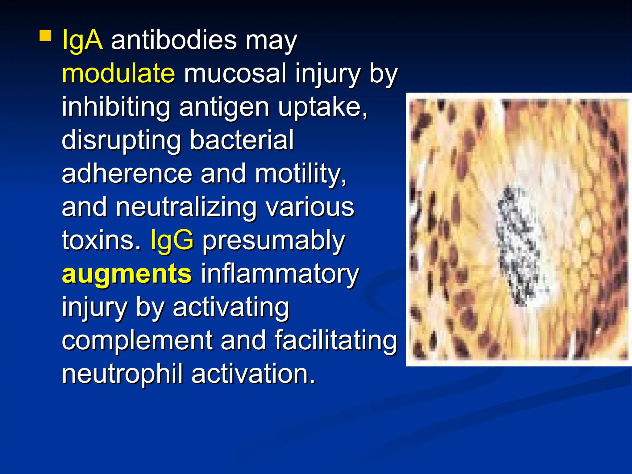 Gastritis.ppt (gastrointestinal disorders) | PPT