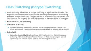 Class Switching (Isotype Switching) , Immunoglobulin (Ig) Superfamily, Complement System | PDF
