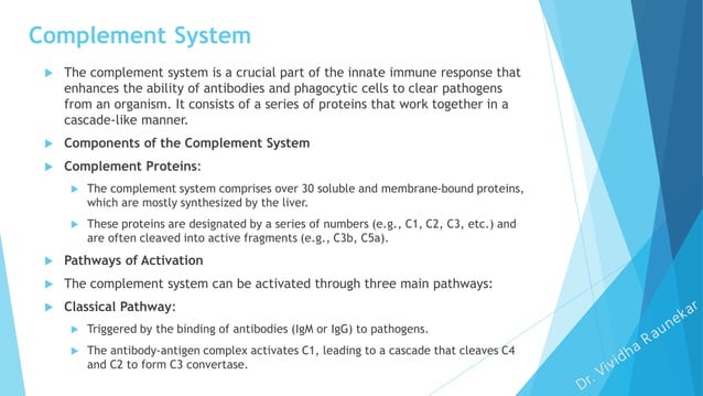 Class Switching (Isotype Switching) , Immunoglobulin (Ig) Superfamily ...