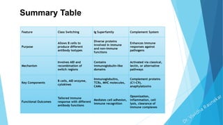 Class Switching (Isotype Switching) , Immunoglobulin (Ig) Superfamily ...