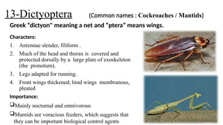 Lect 11 Insect orders-6-15-1.......... pptx | PPTX