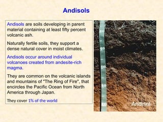 Lect11_Soil Order (1).ppthhghjjhhhhffhtfbhff | PPT