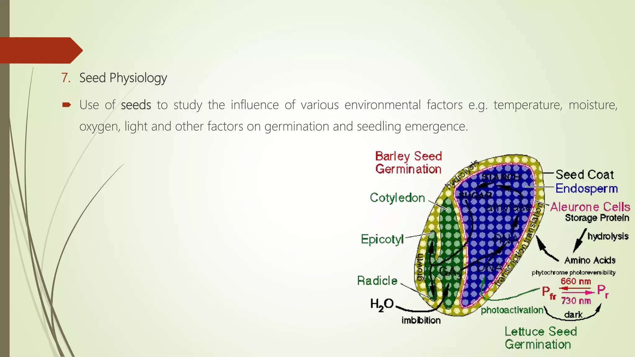 Introduction and scope of Plant Physiology | PPTX