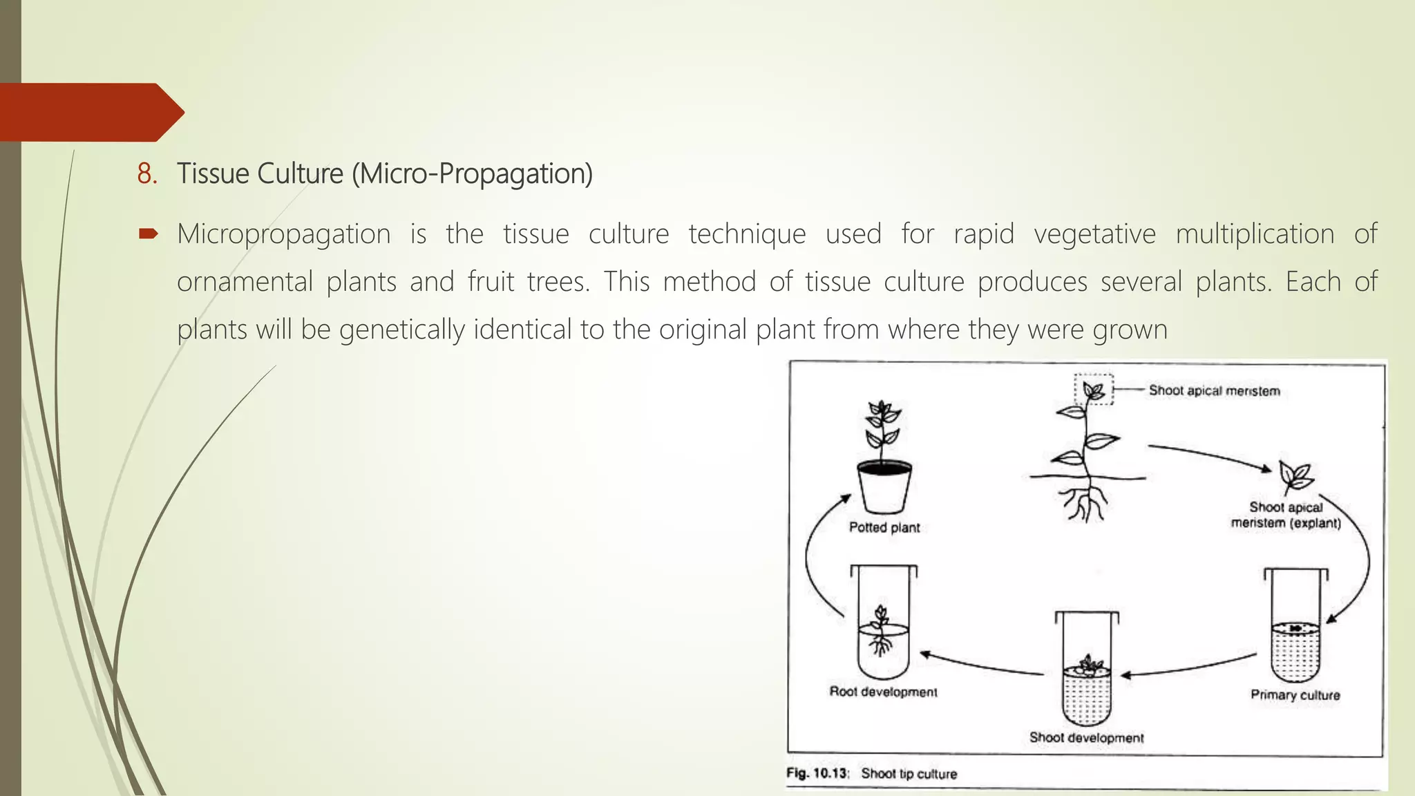 Introduction and scope of Plant Physiology | PPTX