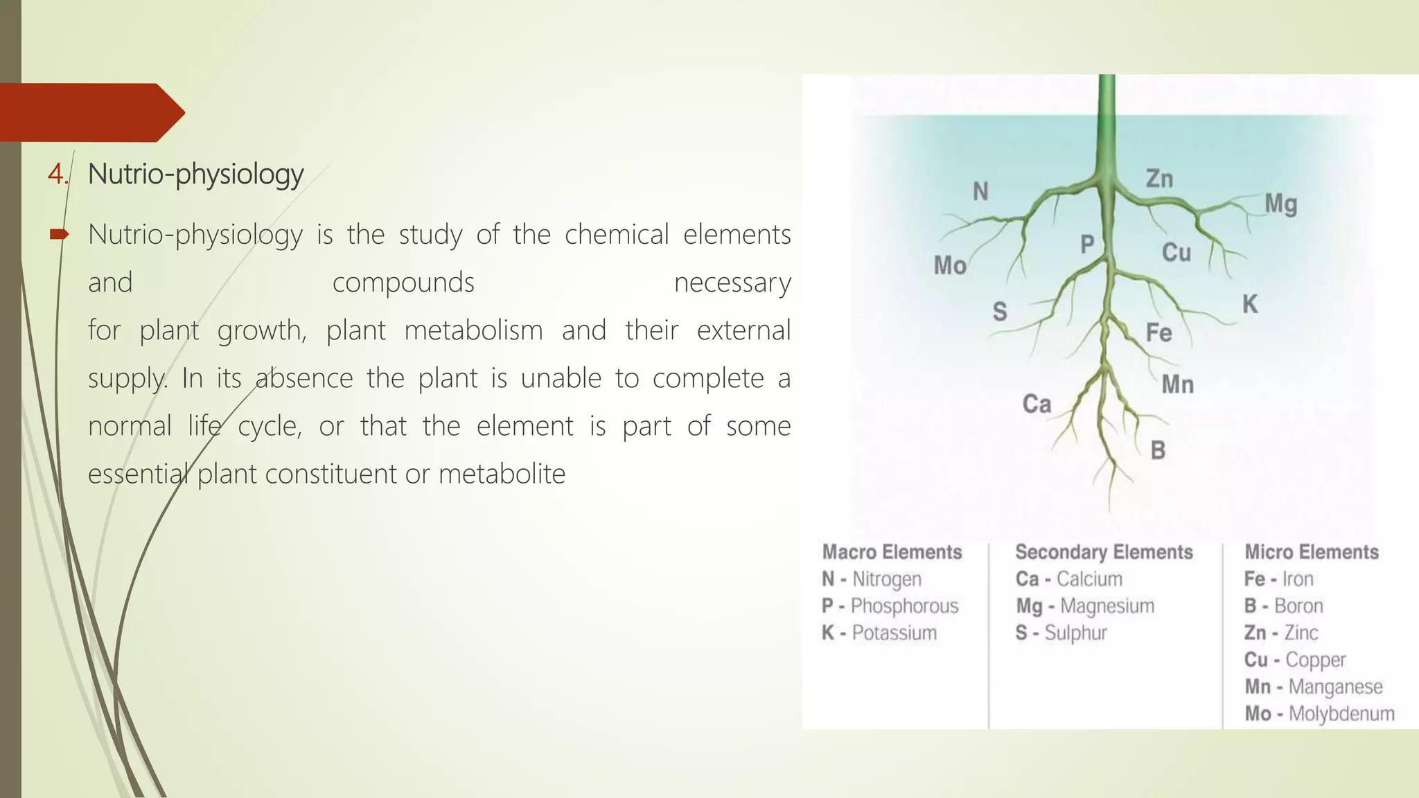 Introduction and scope of Plant Physiology | PPTX