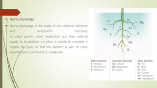 Introduction and scope of Plant Physiology | PPTX