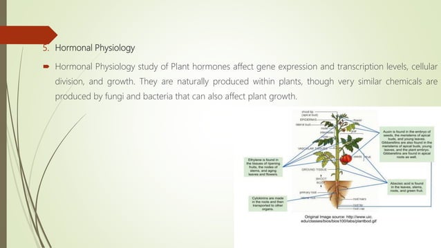 Introduction and scope of Plant Physiology | PPTX