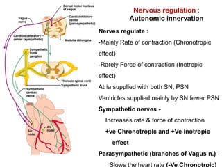 Cardiac output and its intrinsic and extrinsic regulation | PPTX