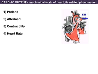 Cardiac output and its intrinsic and extrinsic regulation | PPTX