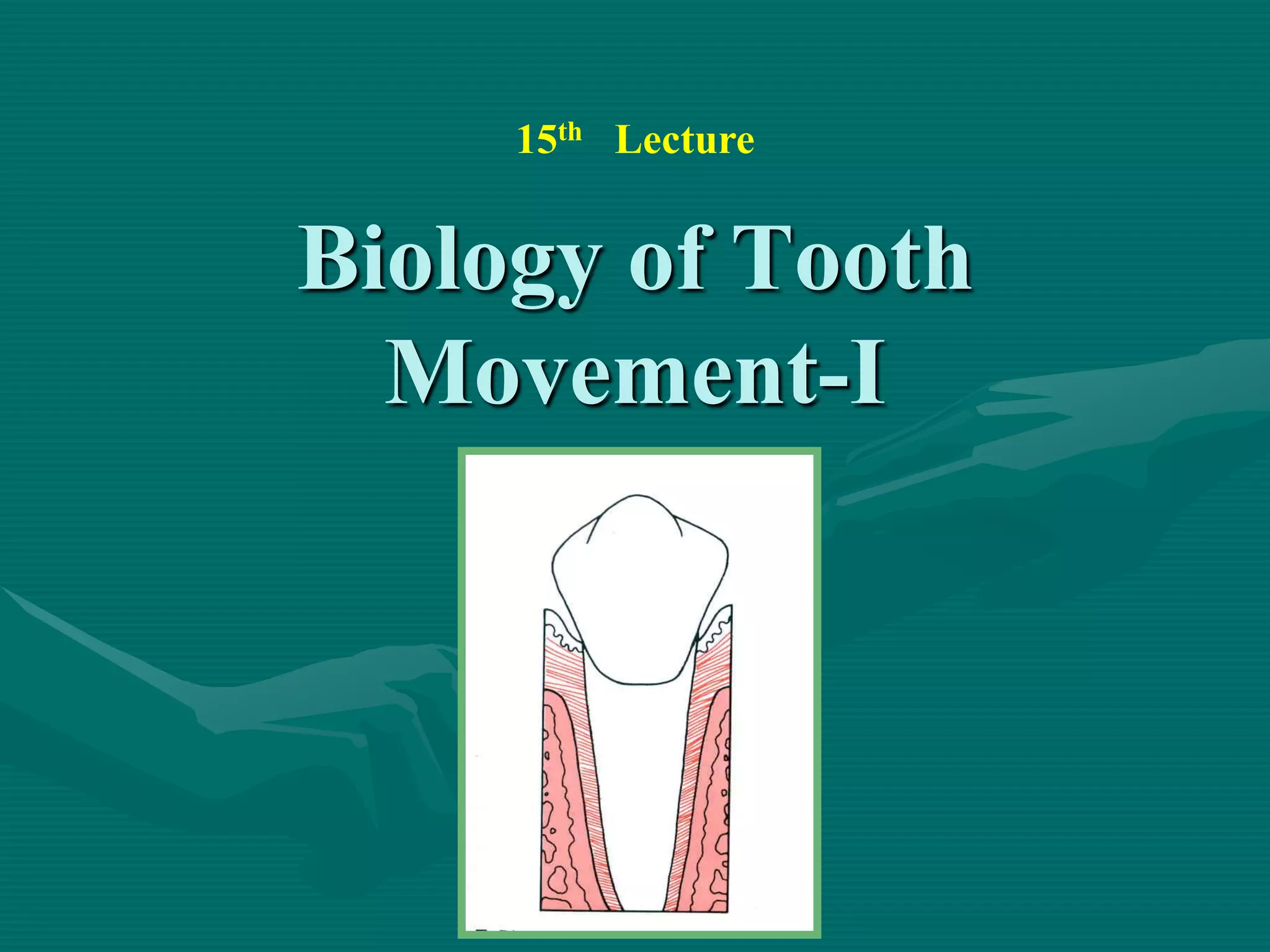 Biology of Tooth Movement | PDF