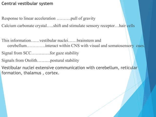lect 15 Vestibular Rehabilitation.pptx