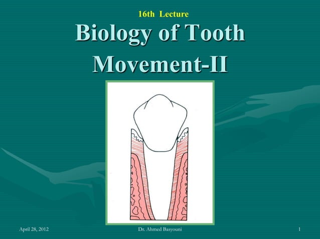 Biology of Tooth Movement | PDF