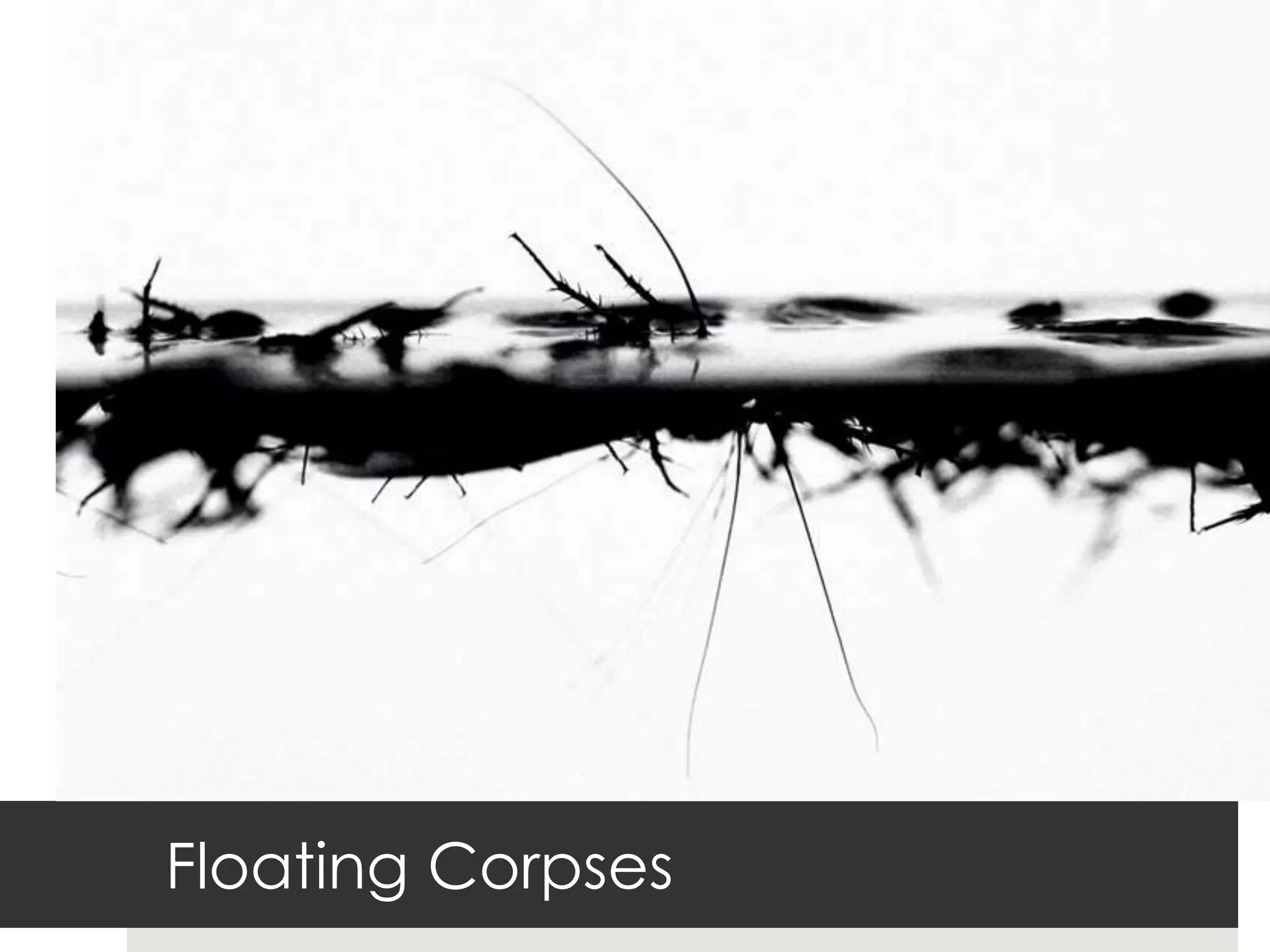 Lect 16 spaces of bioart | PPT