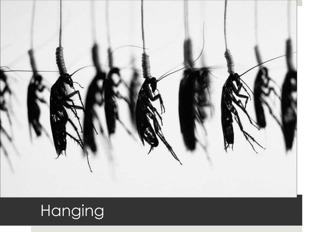 Lect 16 spaces of bioart | PPT