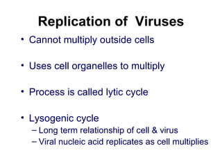 Lect 16 Viruses and Bacteria | PPT