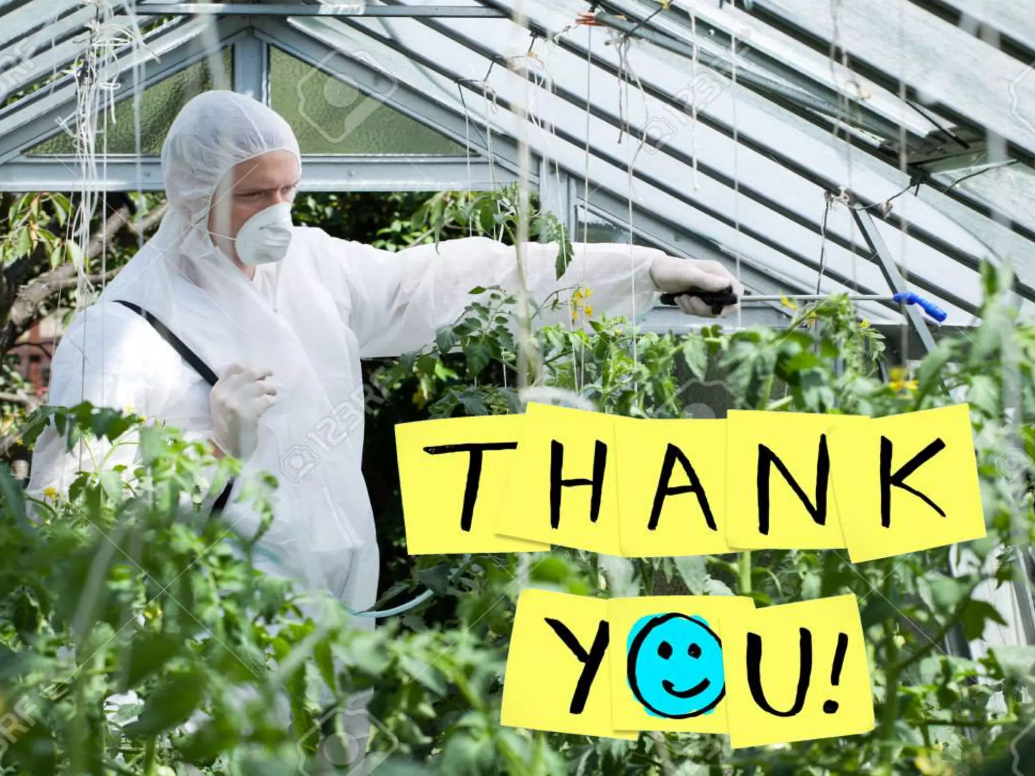 Lect 18 (handling storage and precautions) | PPTX