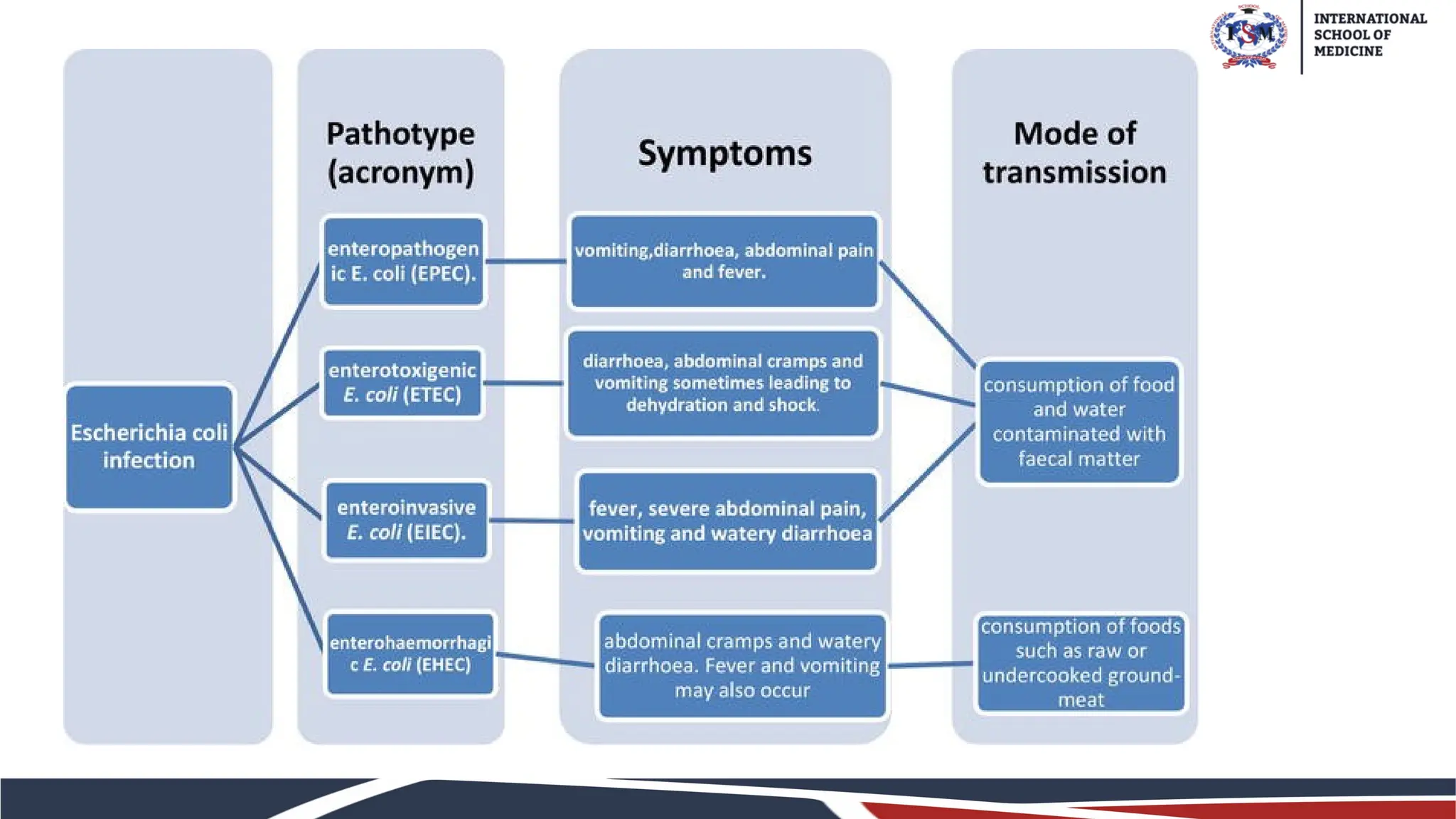 lect 1 Acute intestinal infections.pptx infectious | PPTX | Digestive ...