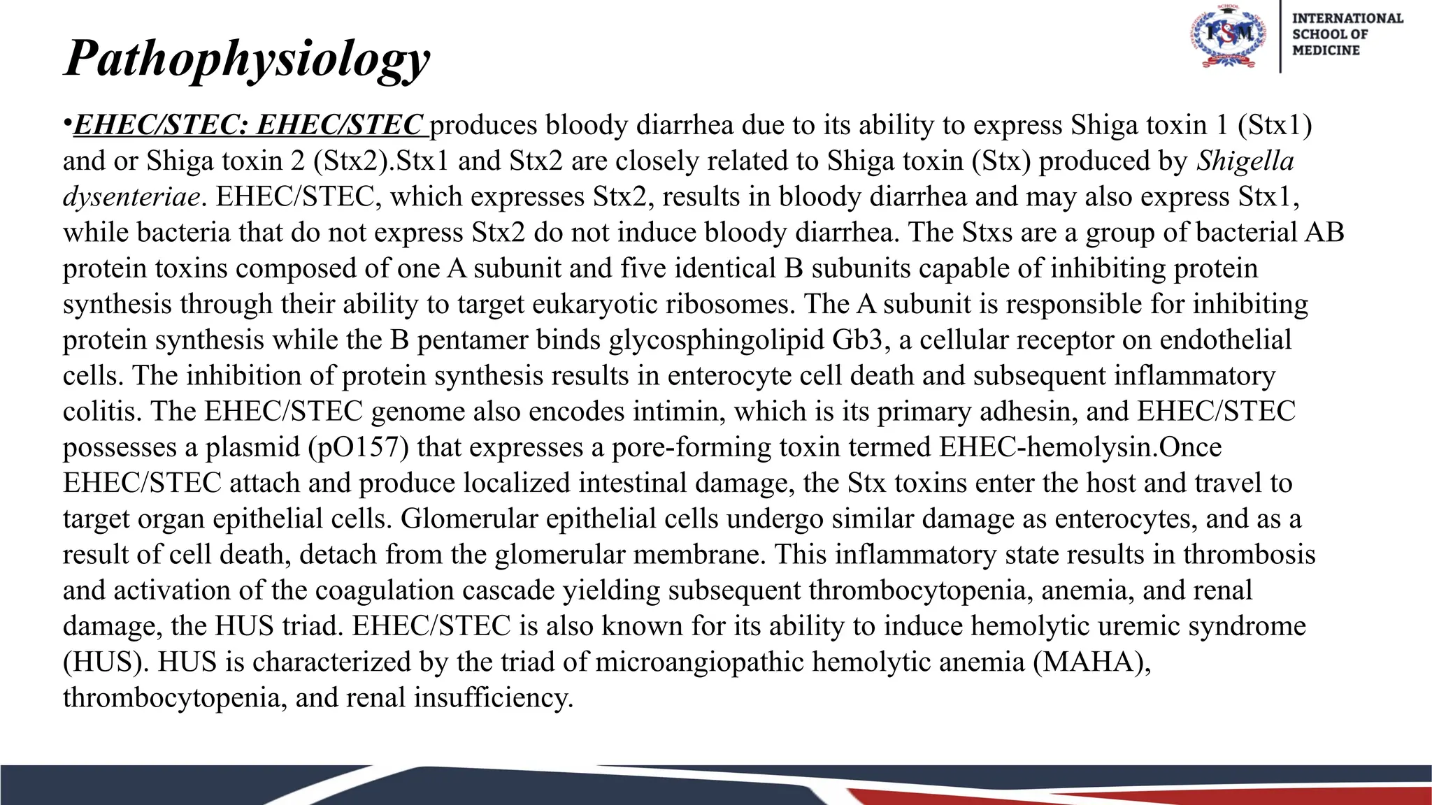 lect 1 Acute intestinal infections.pptx infectious | PPTX | Digestive ...
