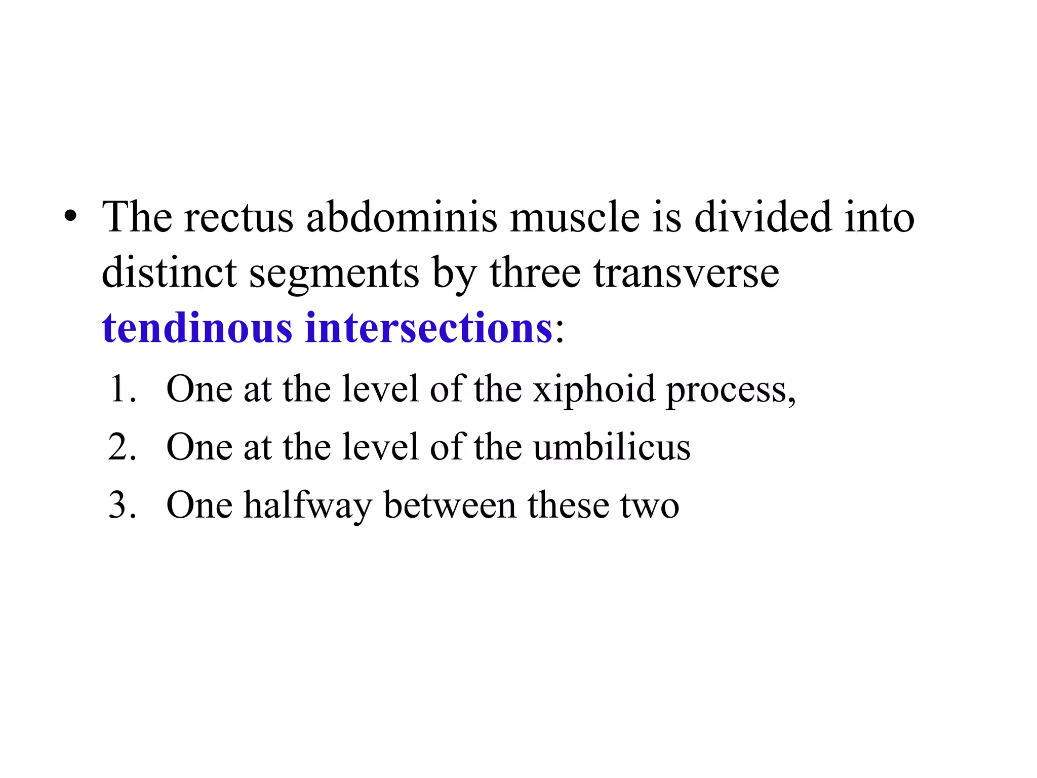 Lect 1, Anterior abdominal wall | PPTX