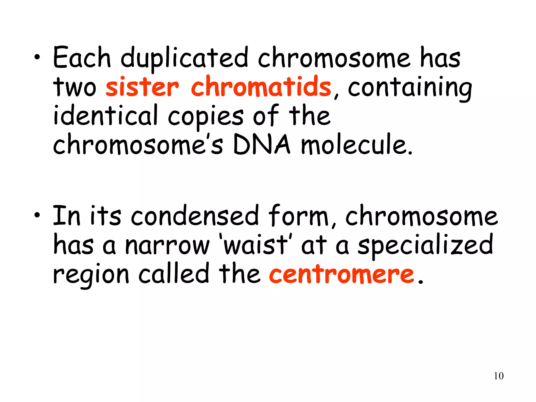 Lect 1 cell cycle | PPT