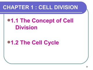 Lect 1 cell cycle | PPT