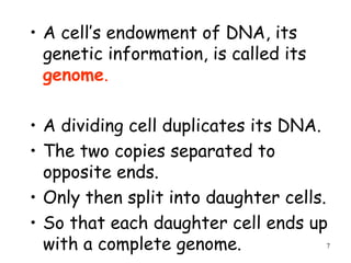Lect 1 cell cycle | PPT