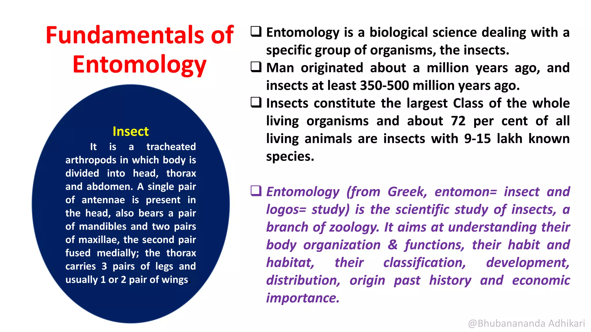 History of Entomology In India and Dominance of Insect | PPTX