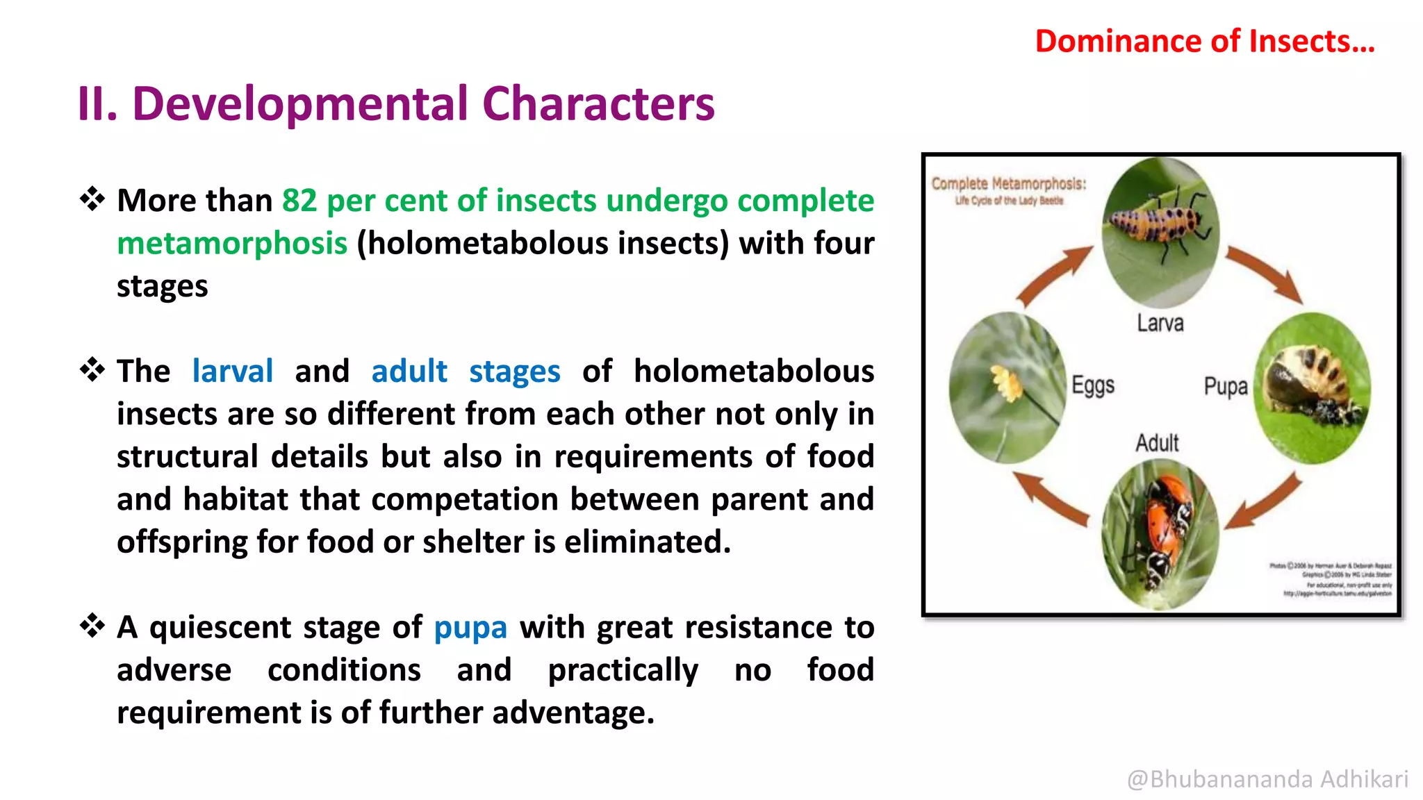 History of Entomology In India and Dominance of Insect | PPTX