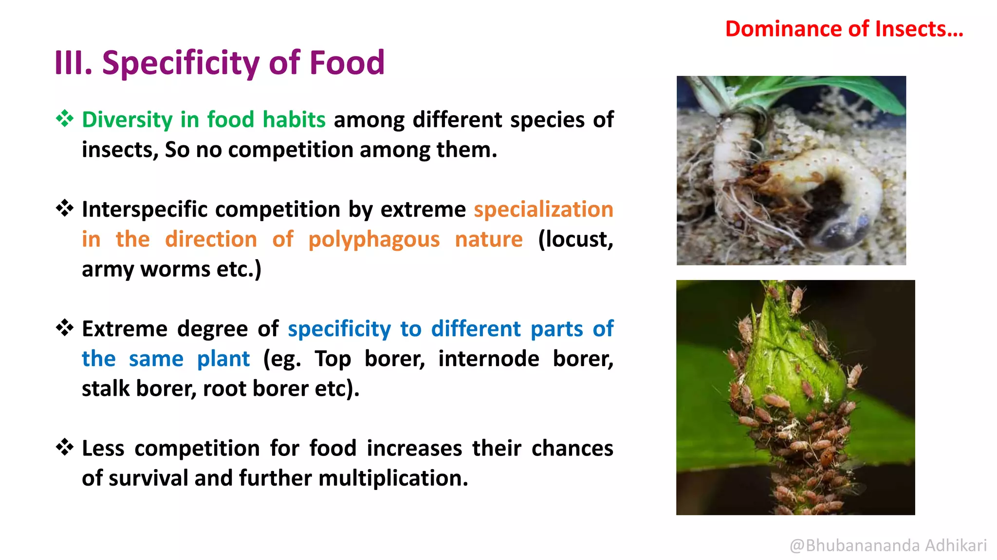 History of Entomology In India and Dominance of Insect | PPTX