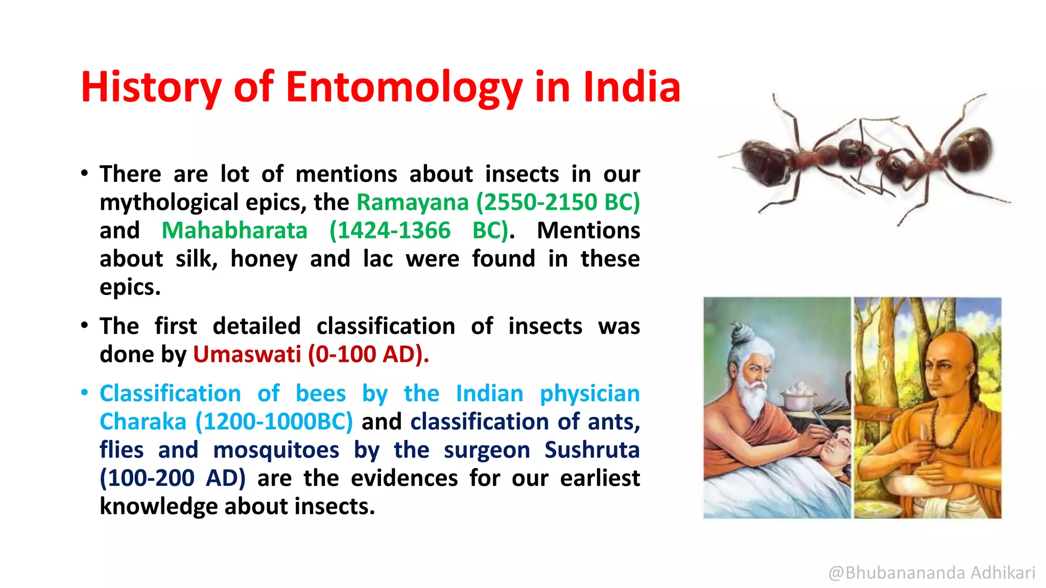 History of Entomology In India and Dominance of Insect | PPTX