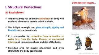 History of Entomology In India and Dominance of Insect | PPTX