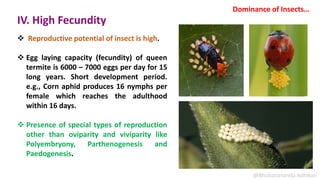 History of Entomology In India and Dominance of Insect | PPTX