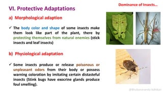 History of Entomology In India and Dominance of Insect | PPTX