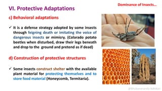 History of Entomology In India and Dominance of Insect | PPTX