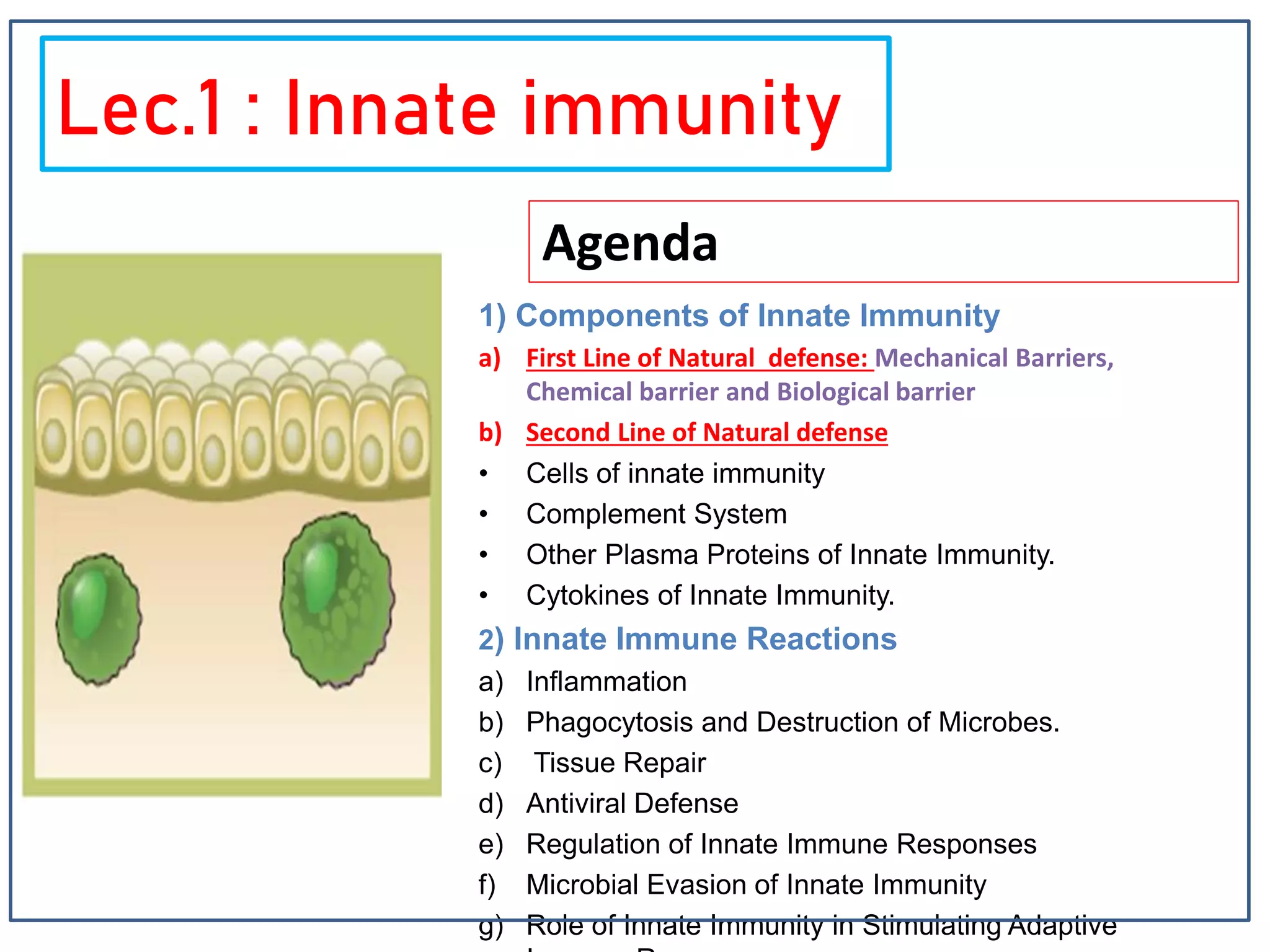 innate immune response | PDF
