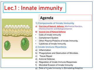 innate immune response | PDF