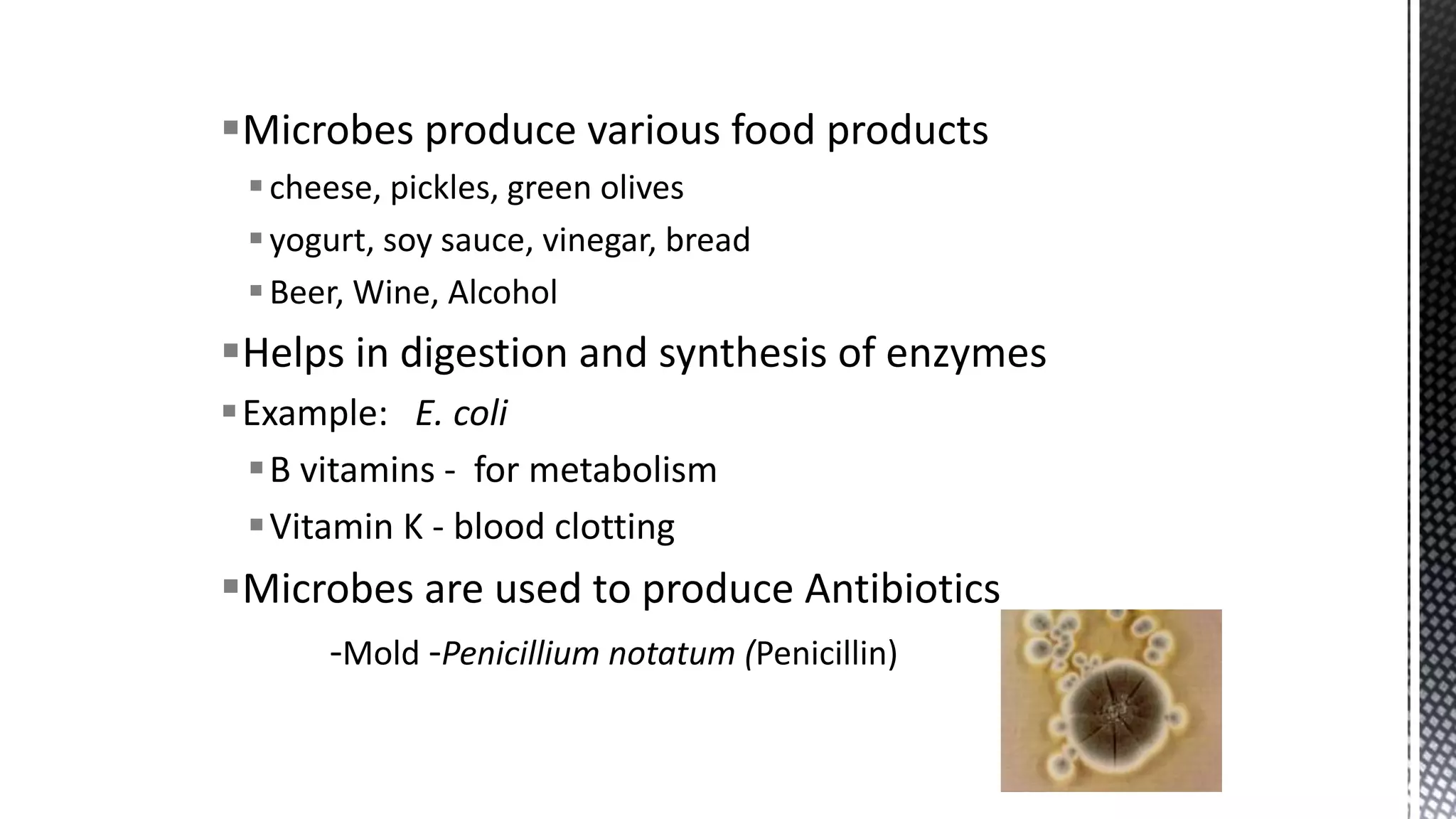 microbiology | PPTX