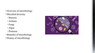 microbiology | PPTX