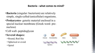 microbiology | PPTX