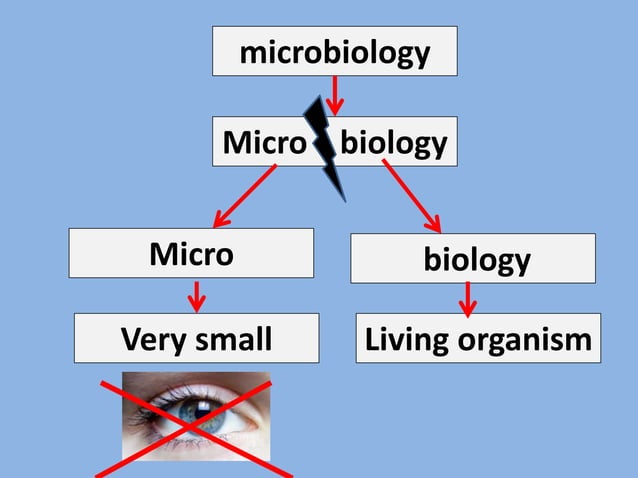 lect1 introduction.pptx microbiology ppt | PPT