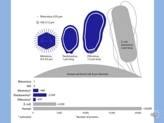lect1 introduction.pptx microbiology ppt | PPT