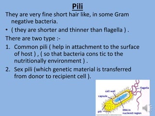 lect1 introduction.pptx microbiology ppt | PPT