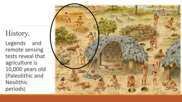 Lect 1 Introduction and history of Agriculture.pptx