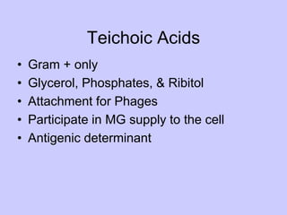 structure of bacterial cell dr. ihsan alsaimary | PPT
