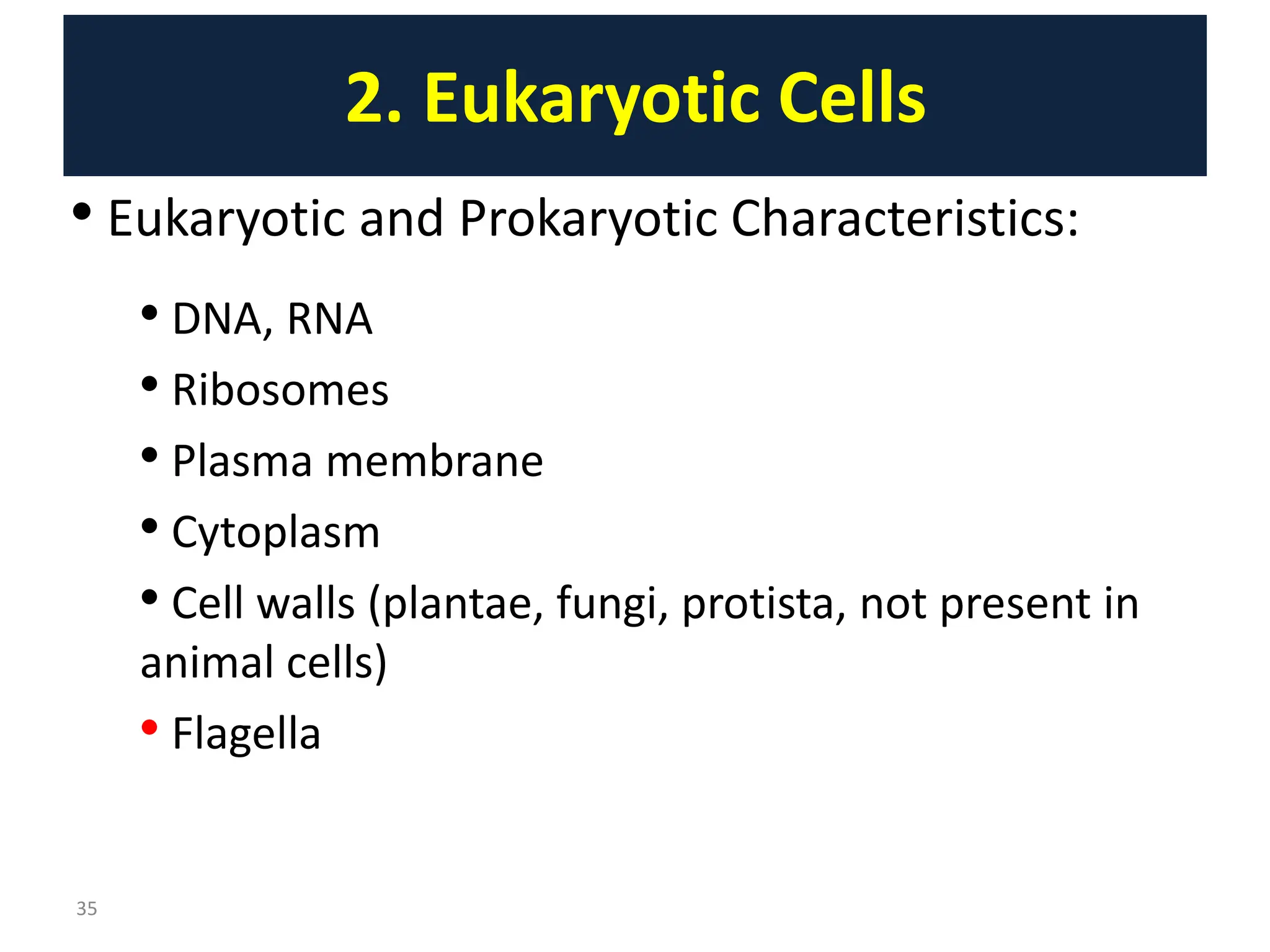 Lect2 Structure And Function Of Eukaryotes And Prokaryotes Cell Pptx