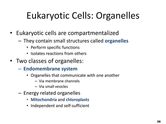 Lect2. Structure and Function of Eukaryotes and Prokaryotes Cell.pptx