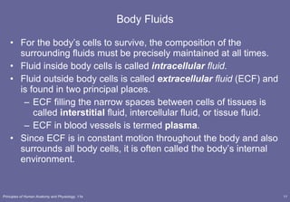 Lect 2 intro to anp | PPT