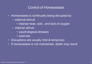 Lect 2 intro to anp | PPT