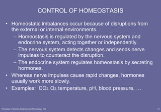 Lect 2 intro to anp | PPT